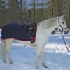 Custom Wool Quarter Sheet Riding Blanket or Exercise Rug