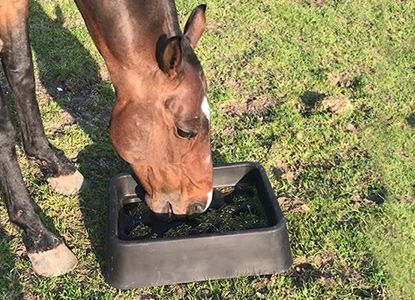Horse Grain Slow Feeder, Slow Ground Feeding and Reduce Waste